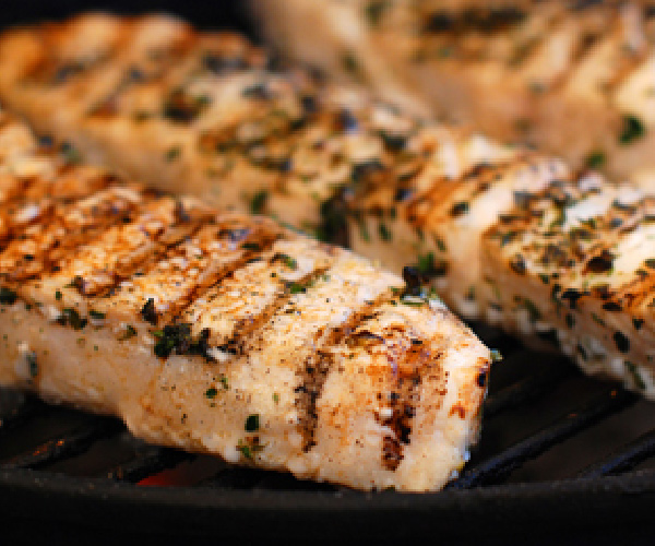 Grilled Halibut Recipe | Blue Rhino