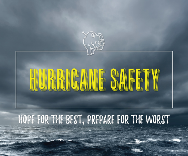 Hurricane safety tips | Blue Rhino